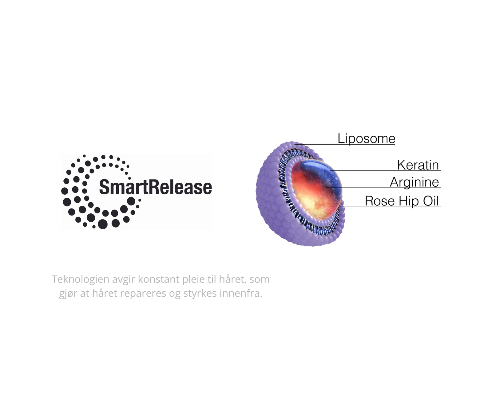 YOUTHLOCK Collagen Treatment Masque | Joico Norge